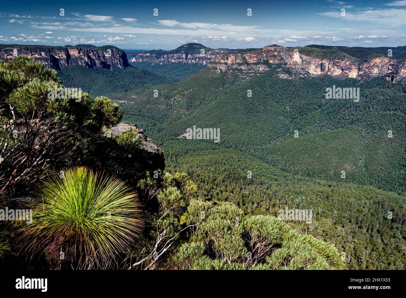 View into the wilderness of Grose Valley in Blue Mountains National ...