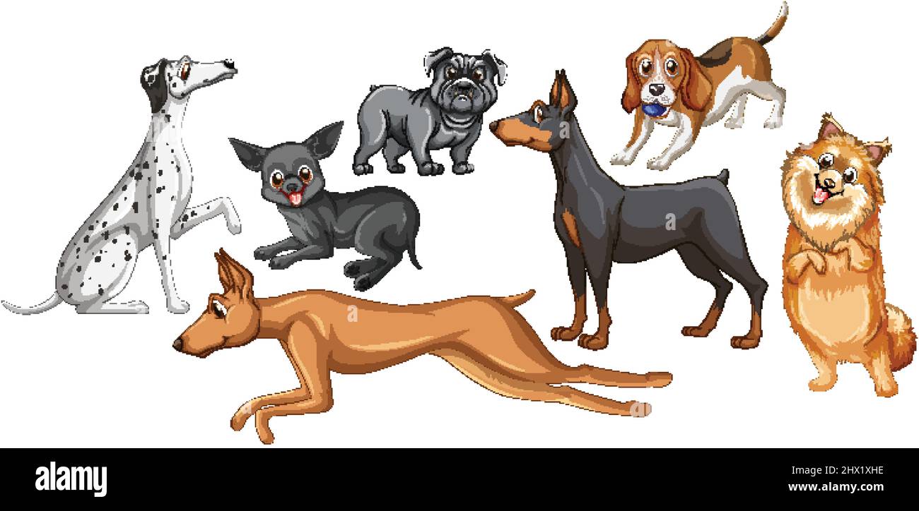 Set of different cute dogs in cartoon style illustration Stock Vector ...