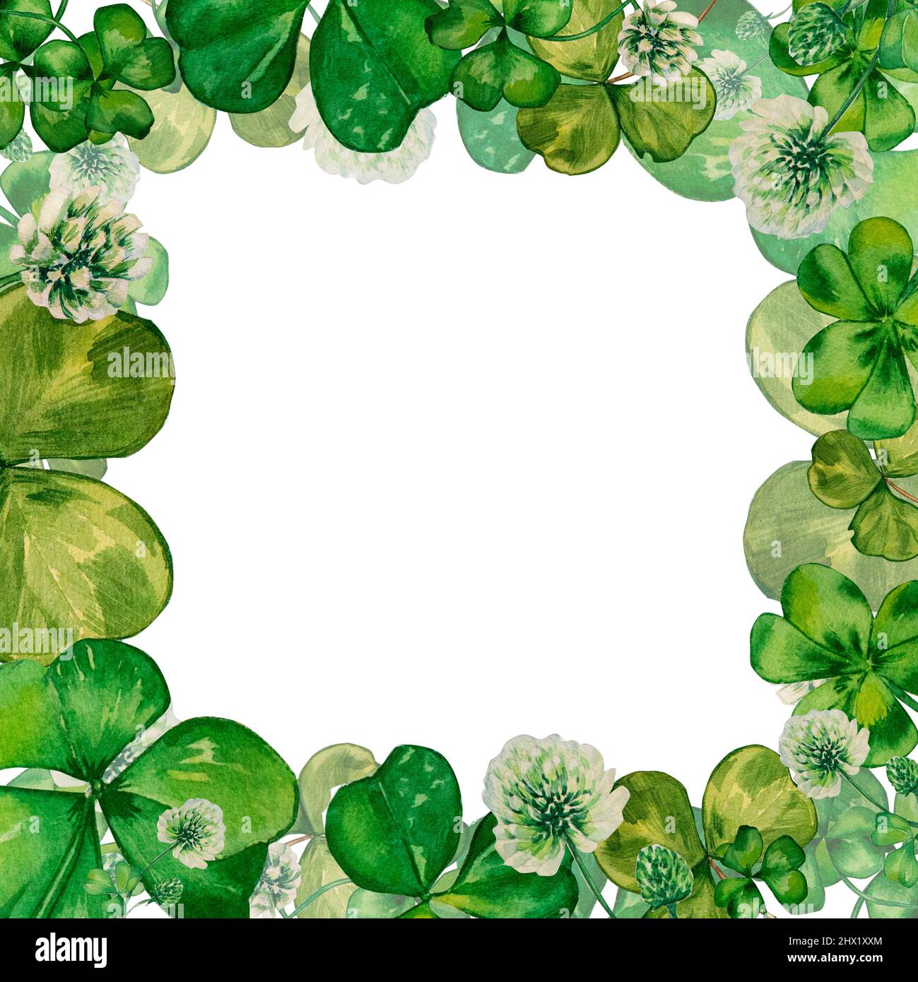 Shamrocks And Clovers Borders