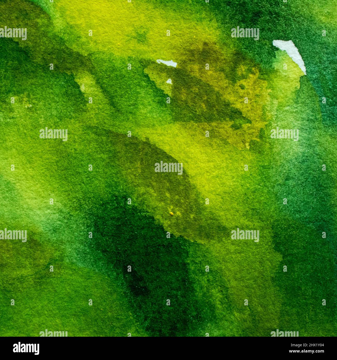 Yellow green watercolor background. Hand painted shamrock leave, bright ...