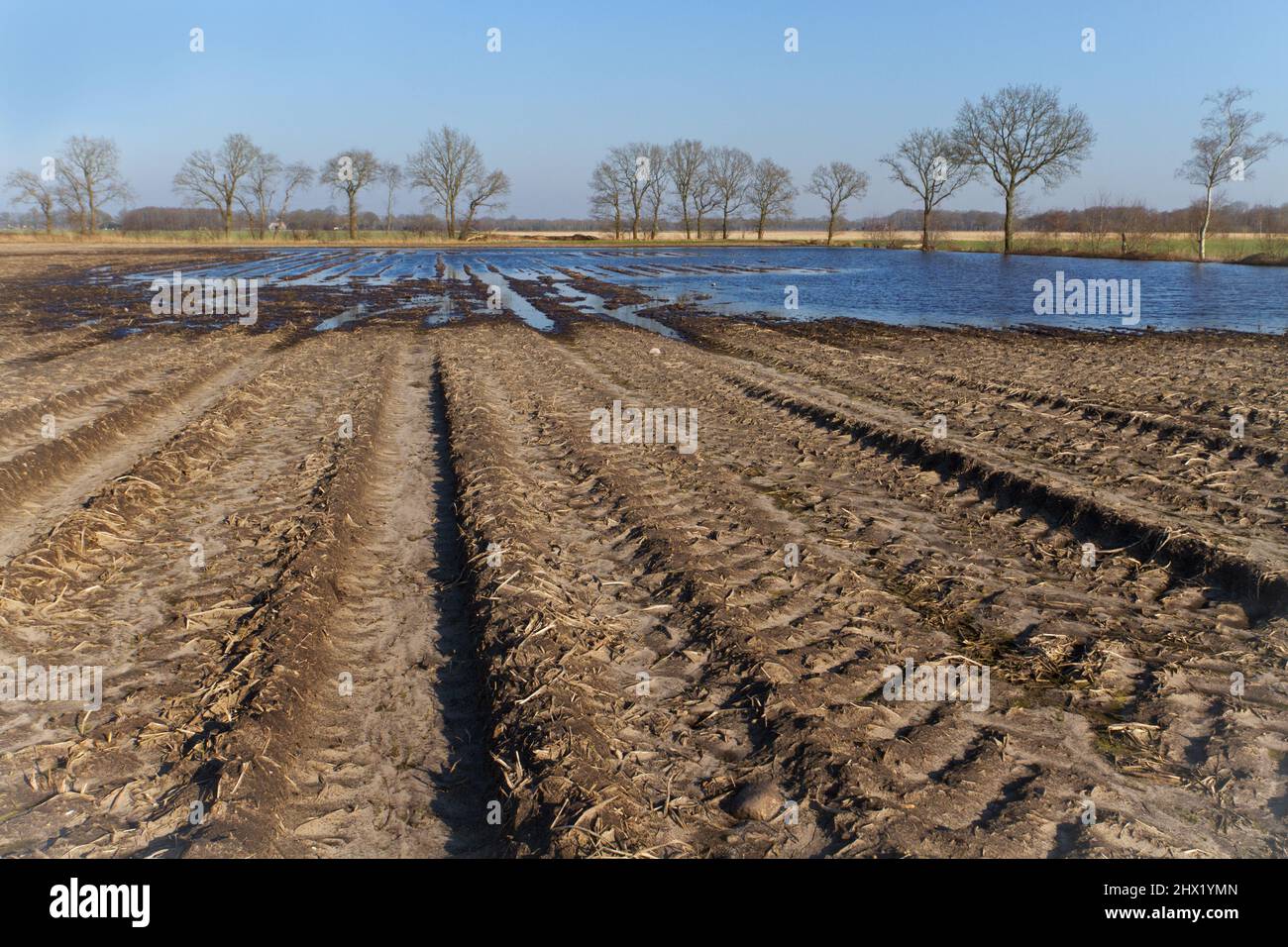 Muddy field after bad weather, flooded after heavy rains in winter ...