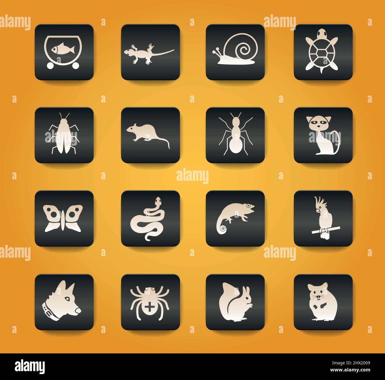 pets symbols on black buttons on yellow background Stock Vector Image ...