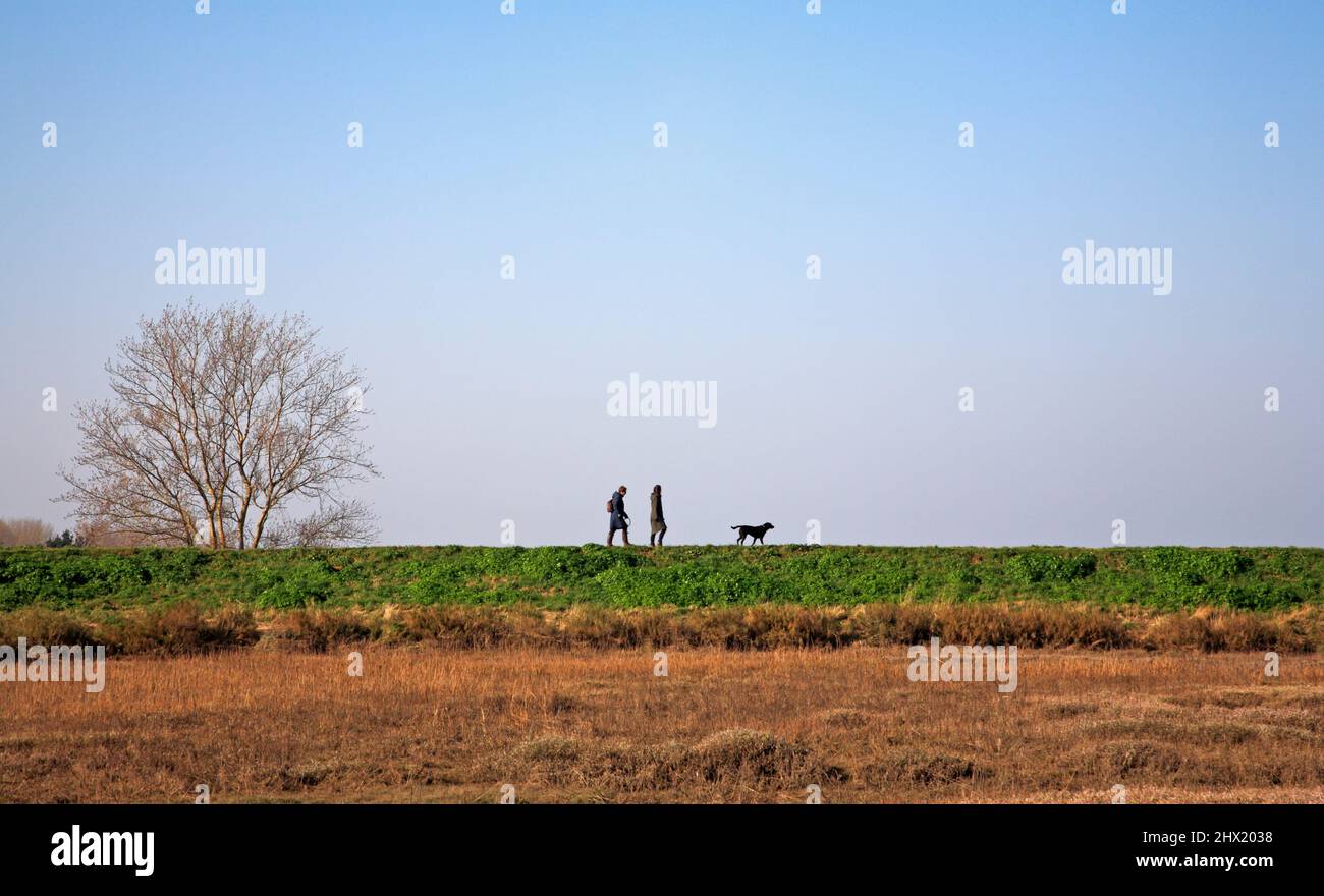A flood protection sea bank carrying the Norfolk Coast Path on the ...