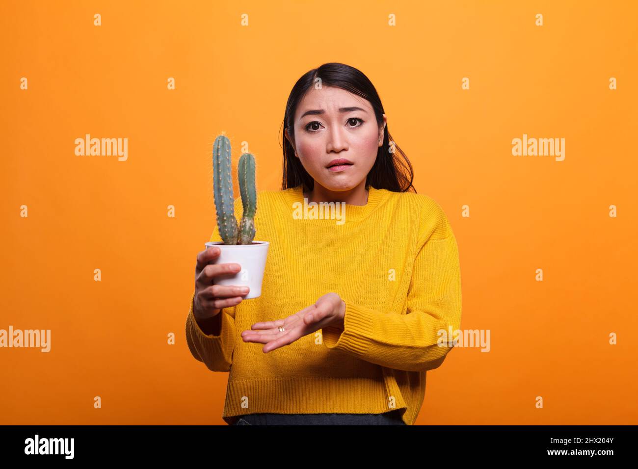 Confused uncertain asian woman gesturing unsurely while holding cactus ...