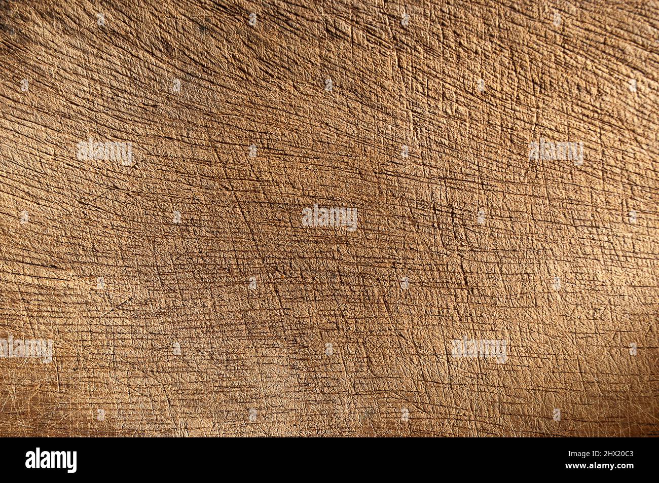 Scratched wood texture hi-res stock photography and images - Alamy