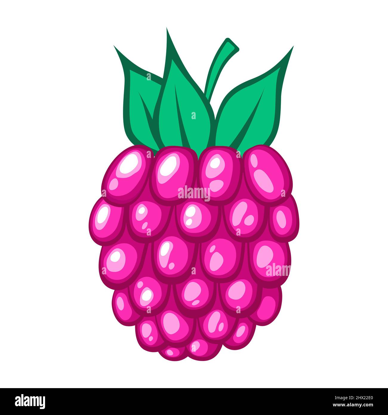 Raspberry. Organic berry isolated on white background. Healthy ...