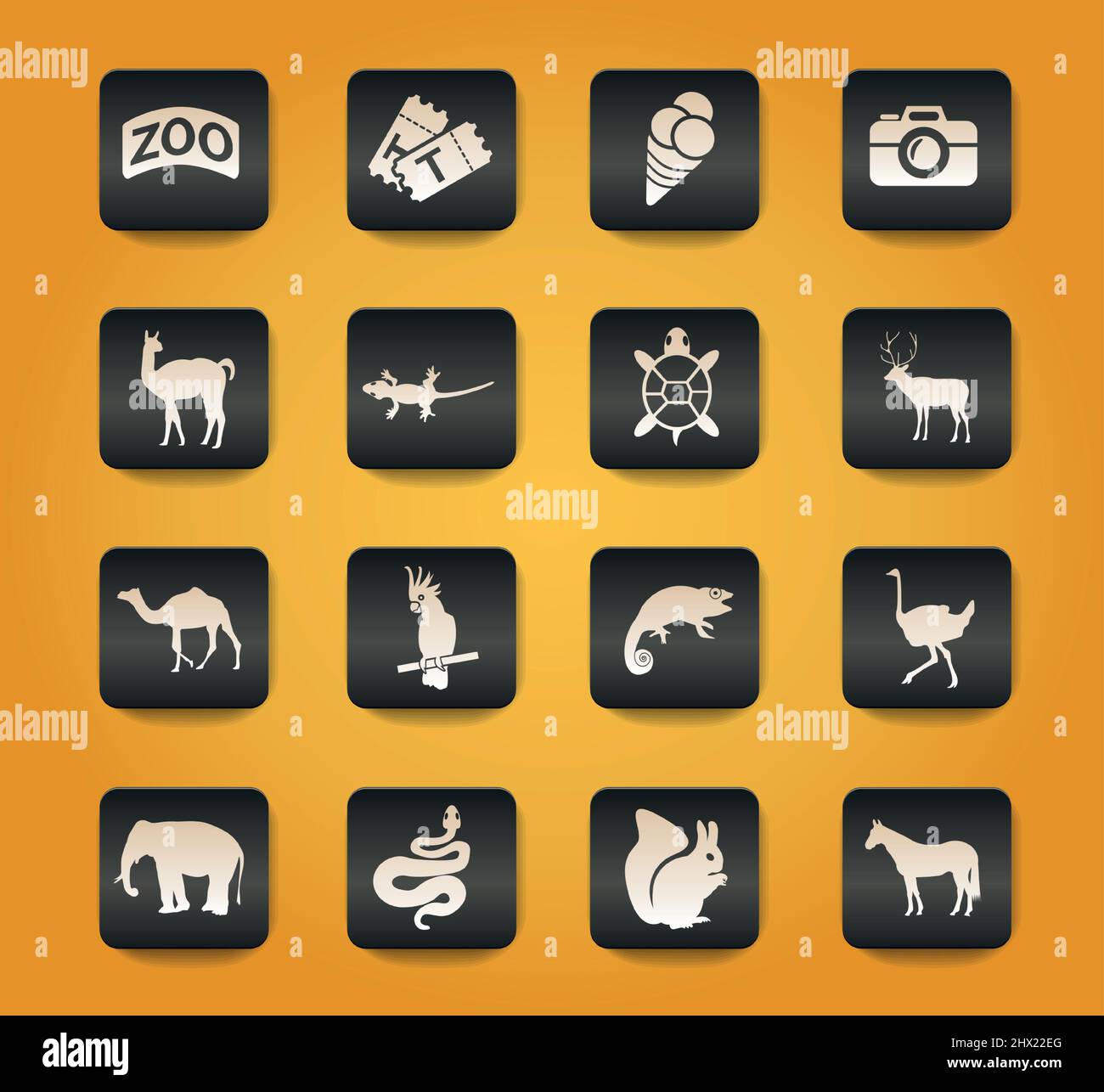 zoo symbols on black buttons on yellow background Stock Vector Image ...