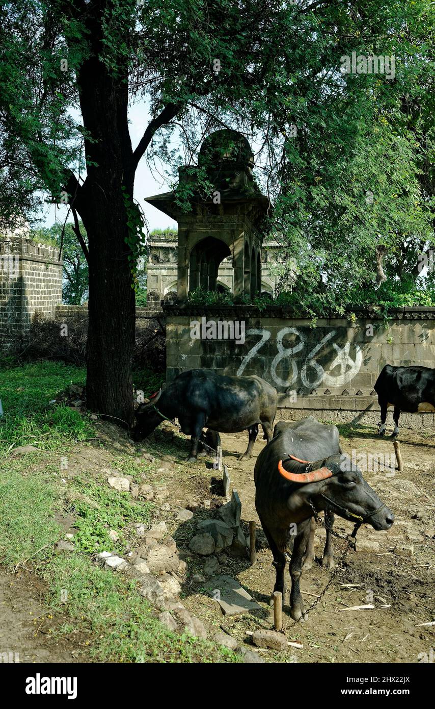 Ancient tomb of Gulam Ali kabar in Baag Roza of Ahmednagar state ...