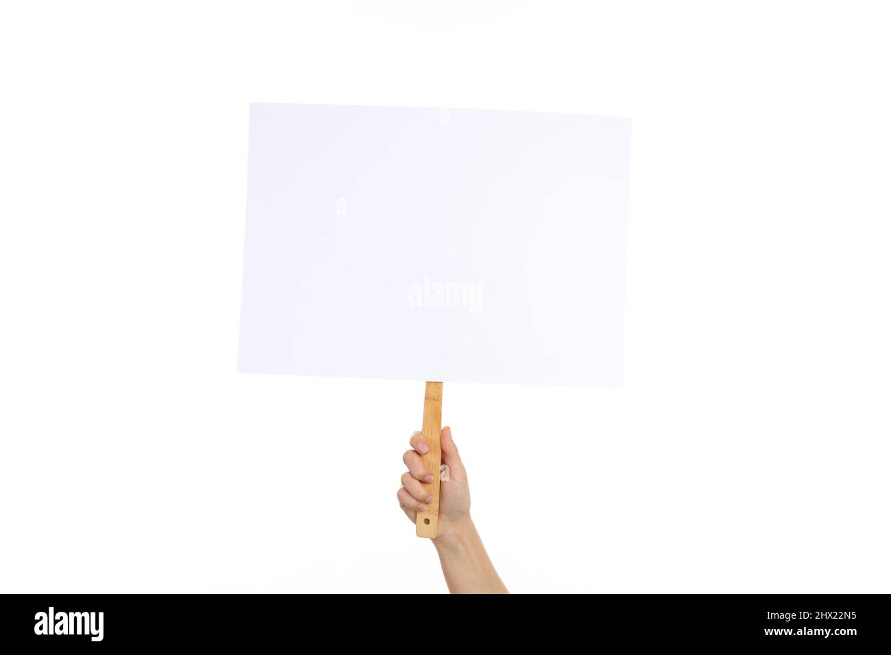 Hand holds protest sign, isolated on white background Stock Photo - Alamy