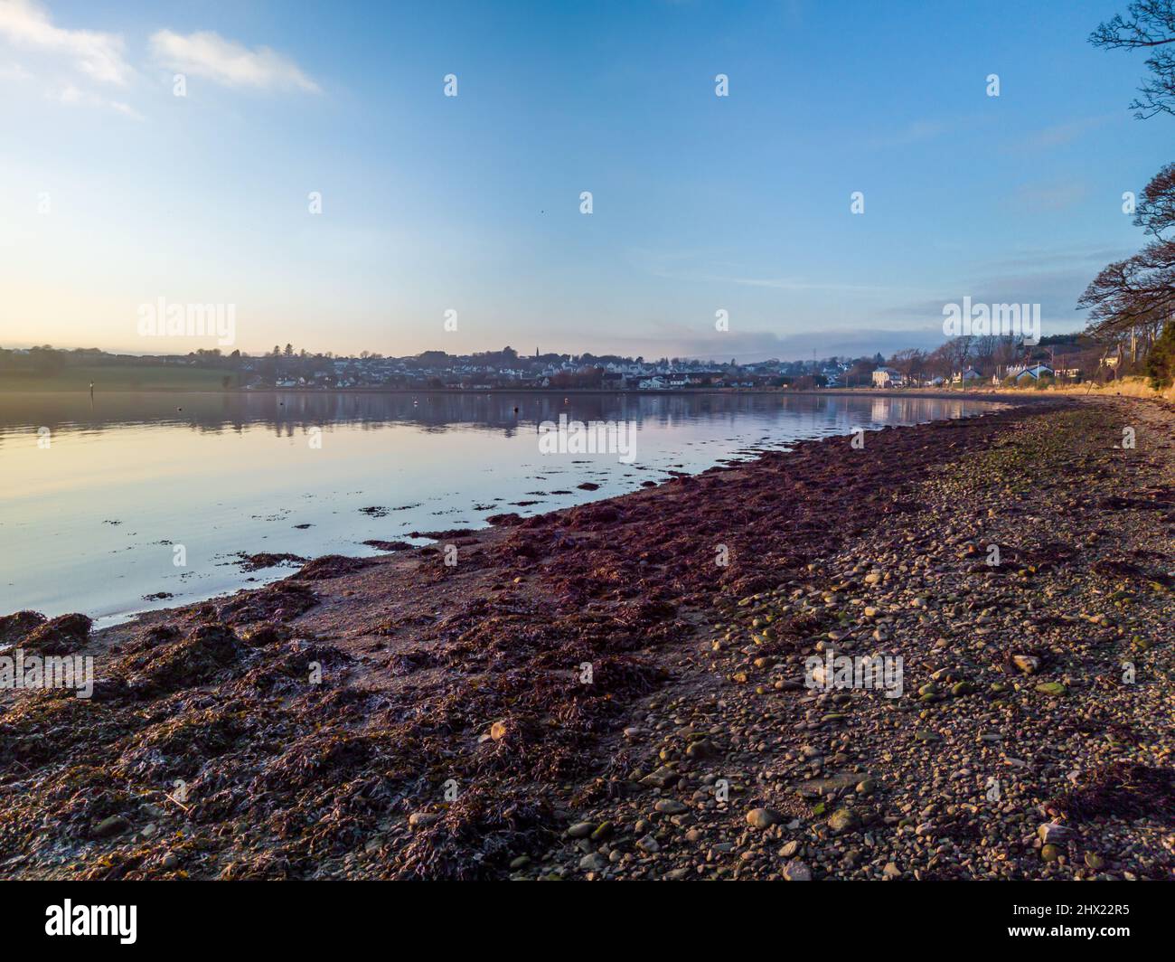 Beautiful evening on the river bank of the River Foyle at Culmore Point ...