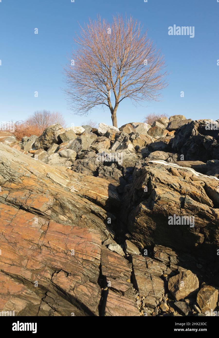 Great Island Common in New Castle, New Hampshire during the spring ...