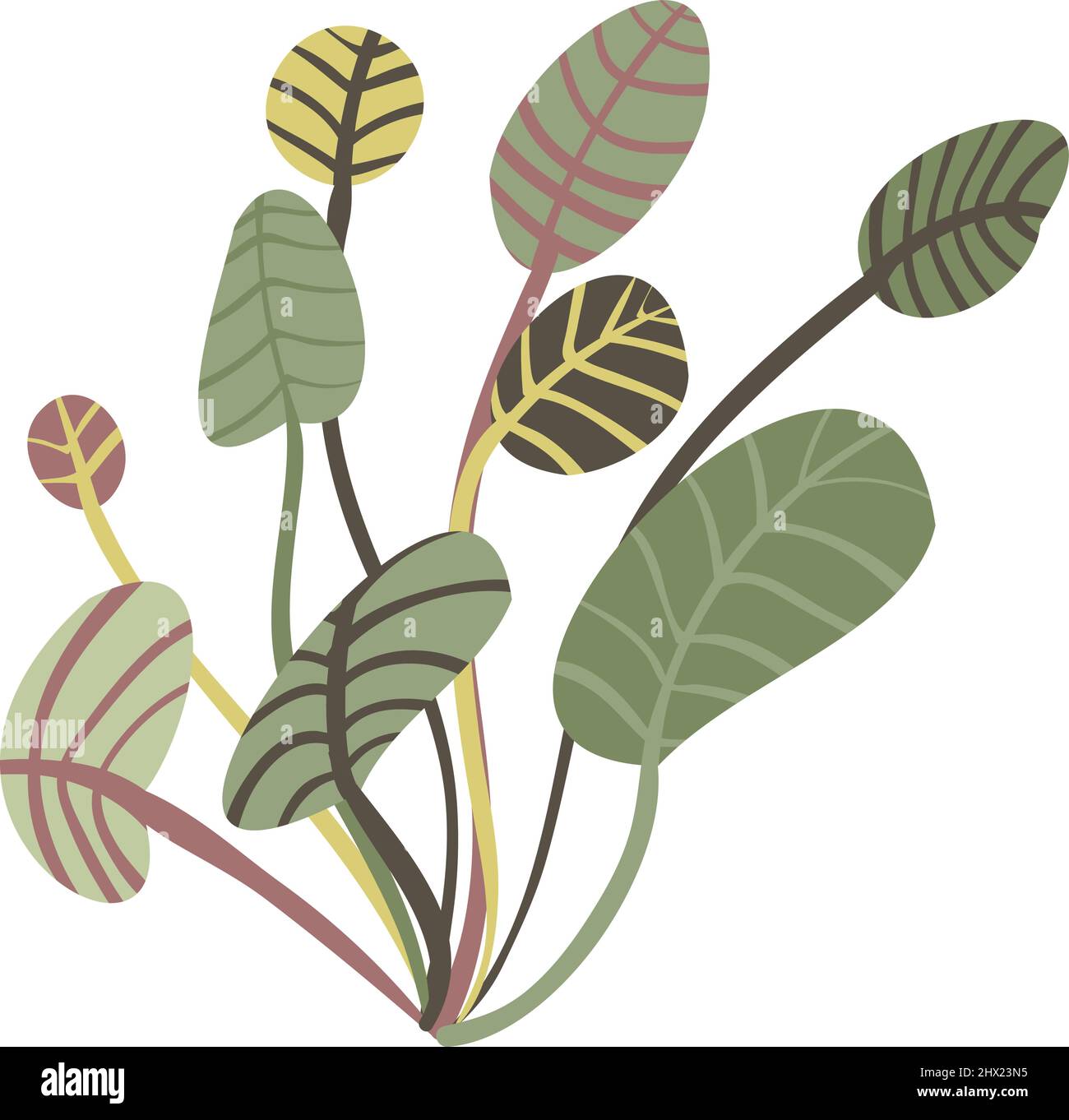 A leafy green plant simple vector illustration Stock Vector Image & Art ...