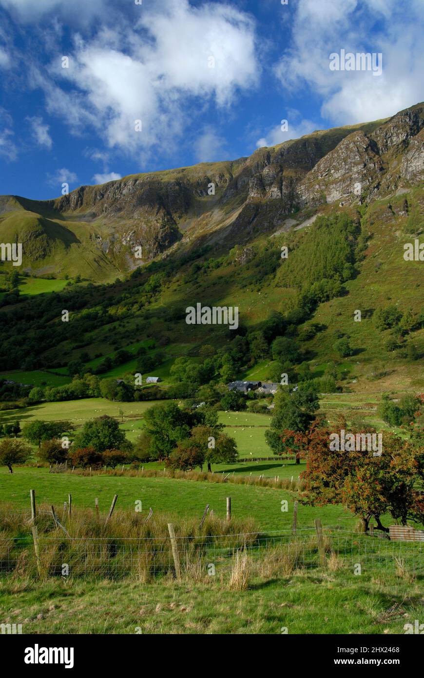 Cwm Cywarch in the Snowdonia National Park Stock Photo - Alamy
