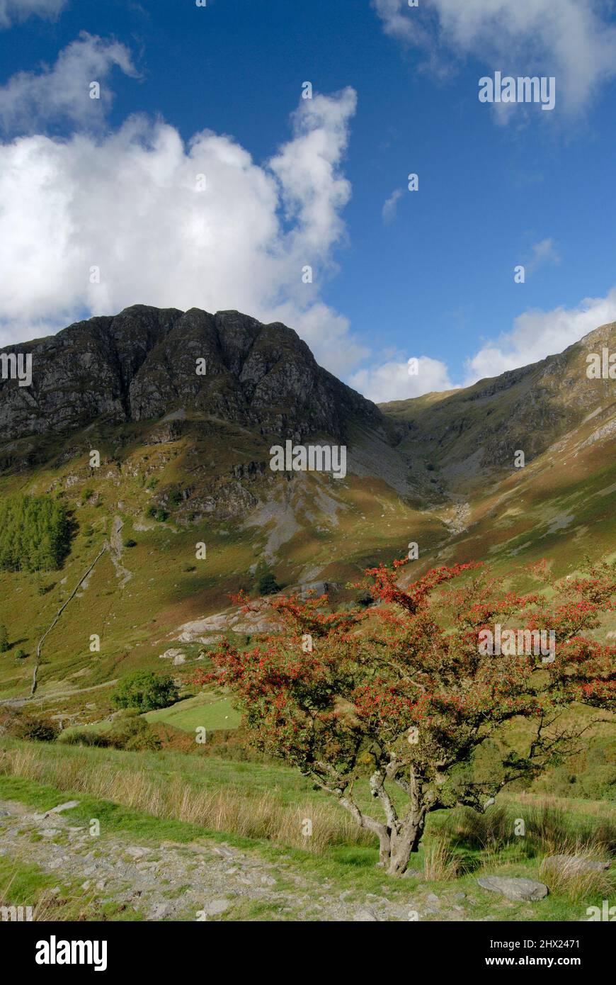 Cwm Cywarch in the Snowdonia National Park Stock Photo - Alamy