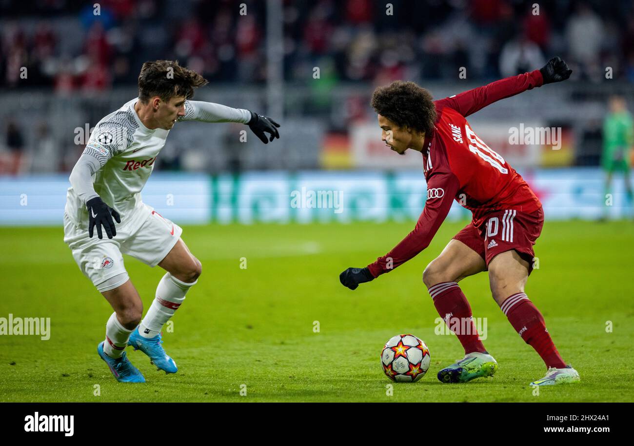 Leroy Sane (Muenchen), Brenden Aaronson (Salzburg) FC Bayern München vs ...
