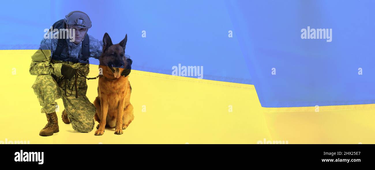 Soldier with military working dog against flag of Ukraine with space ...