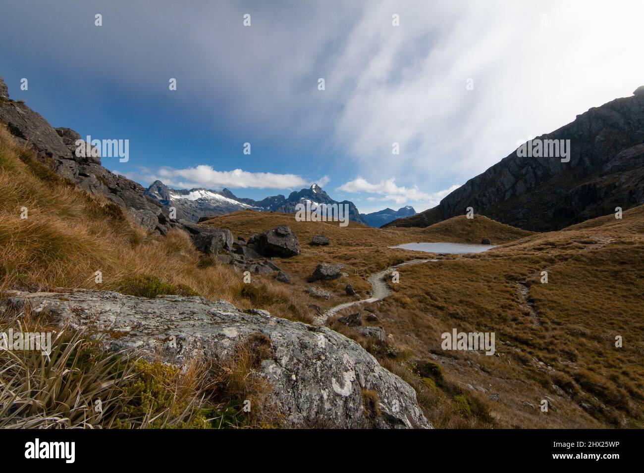 Steep mountain path to Harris Saddle at Routeburn Track Great Walk ...