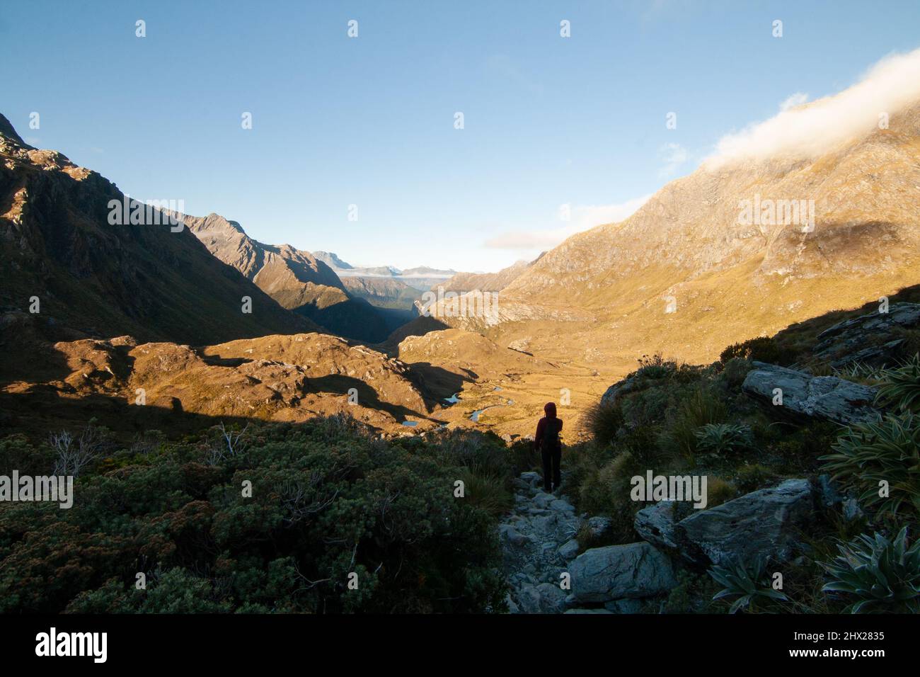 Hiker at Routeburn Track Great Walk walking down to Routeburn Valley ...