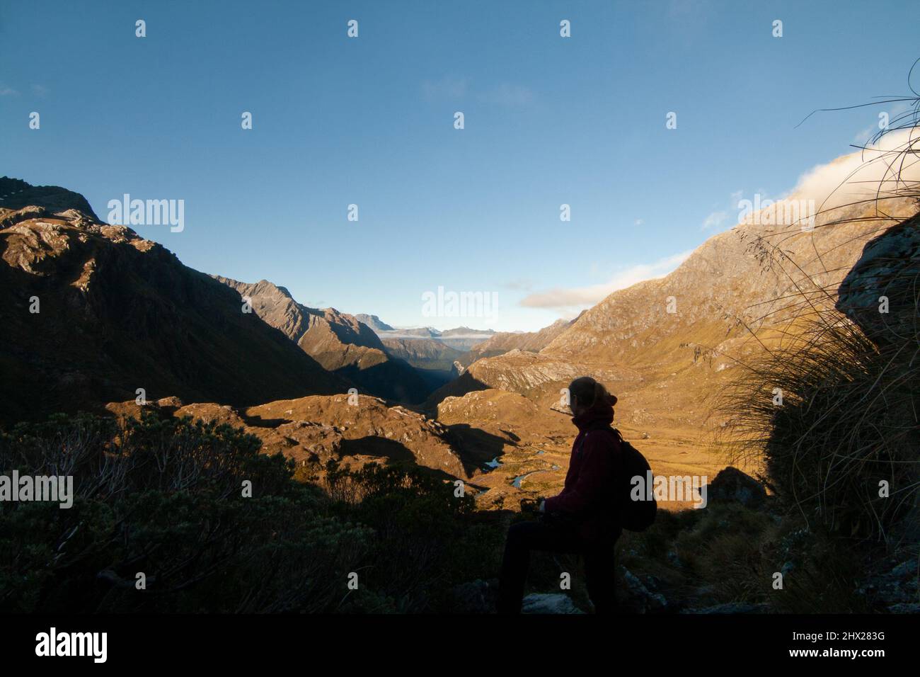 Hiker at Routeburn Track Great Walk walking down to Routeburn Valley ...