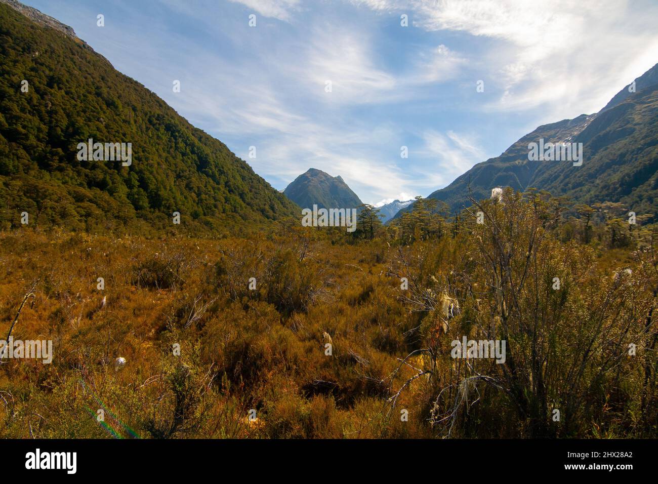 Milford track day one great walk, Te Anau to Milford Sound, Fiordland ...