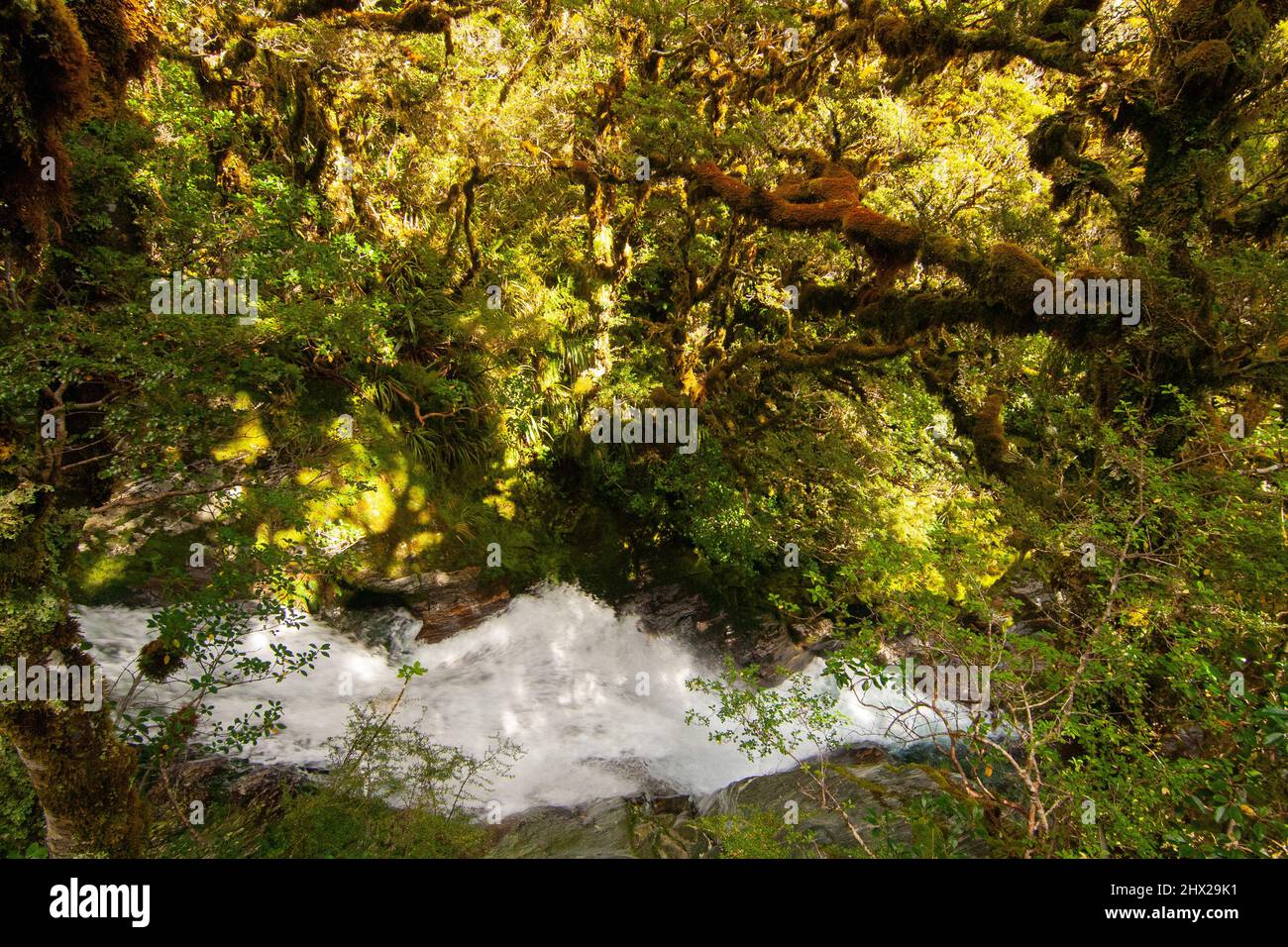 Anderson Cascades falls, cascade waterfall on Milford Track Great walk ...