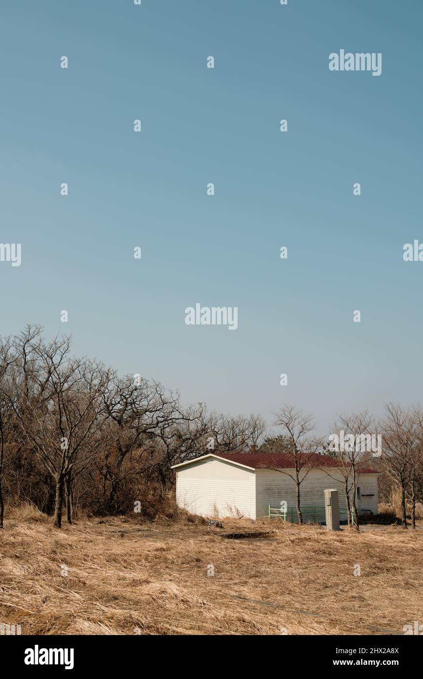 Countryside house and winter trees in Jeju island, Korea Stock Photo ...