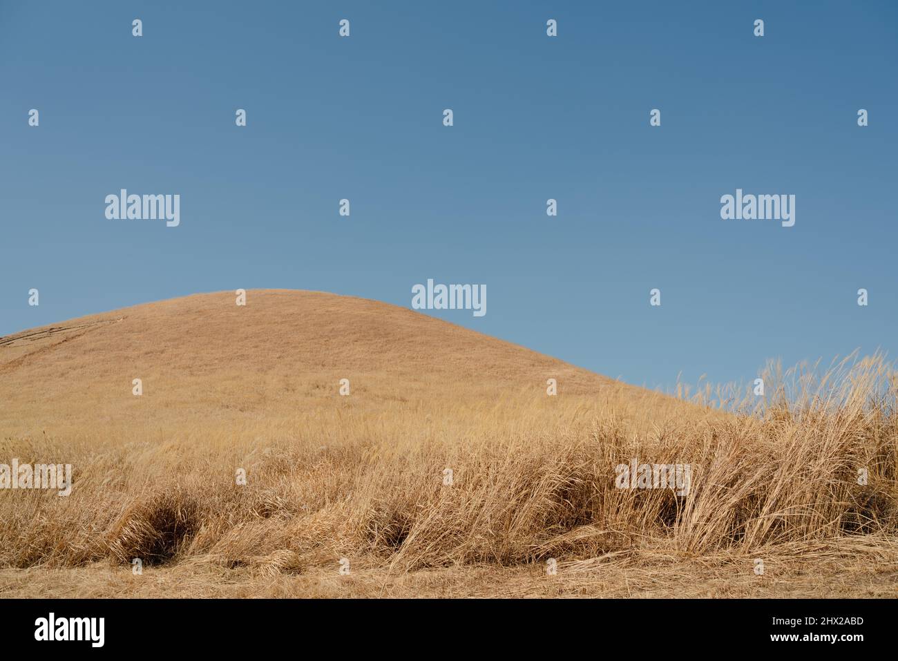 Saebyeol oreum hi-res stock photography and images - Alamy