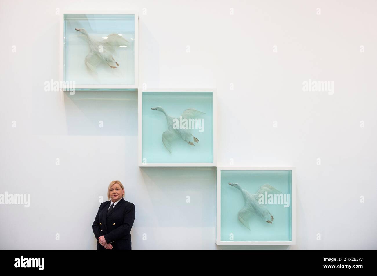 Damien hirst formaldehyde sculptures hi-res stock photography and ...