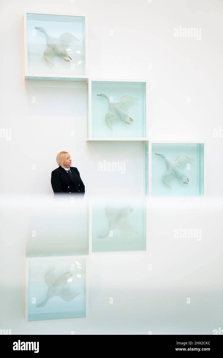 Damien hirst formaldehyde sculptures hi-res stock photography and ...