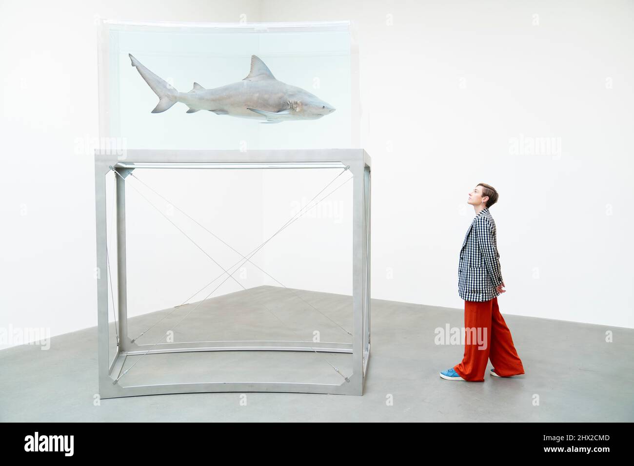 Damien hirst formaldehyde sculptures hi-res stock photography and ...