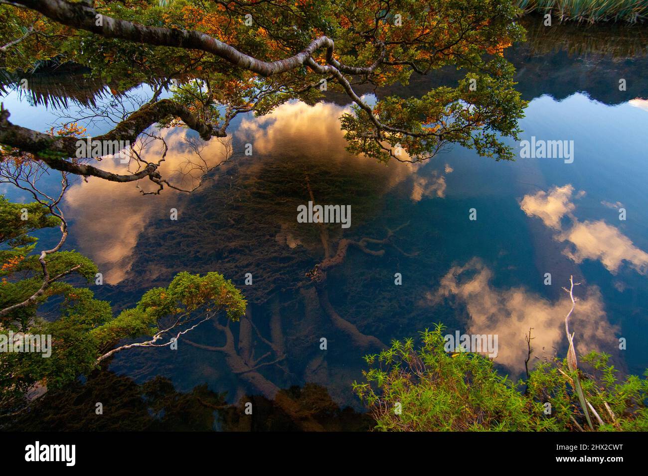 Mirror surface of crystal clear water with nature reflection on ...