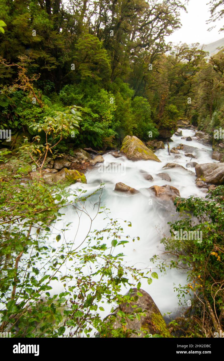 Lake Marian Falls Track, Waterfall in Fiordland New Zealand with native ...
