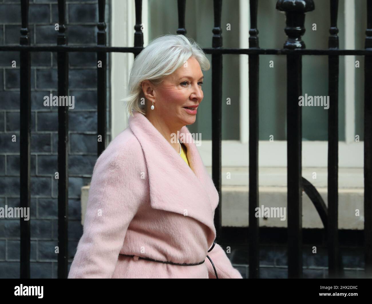 Nadine dorries mp hi-res stock photography and images - Alamy