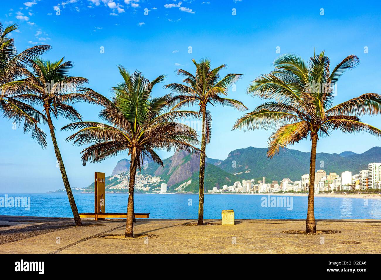 Rio de janeiro palm tree hi-res stock photography and images - Alamy