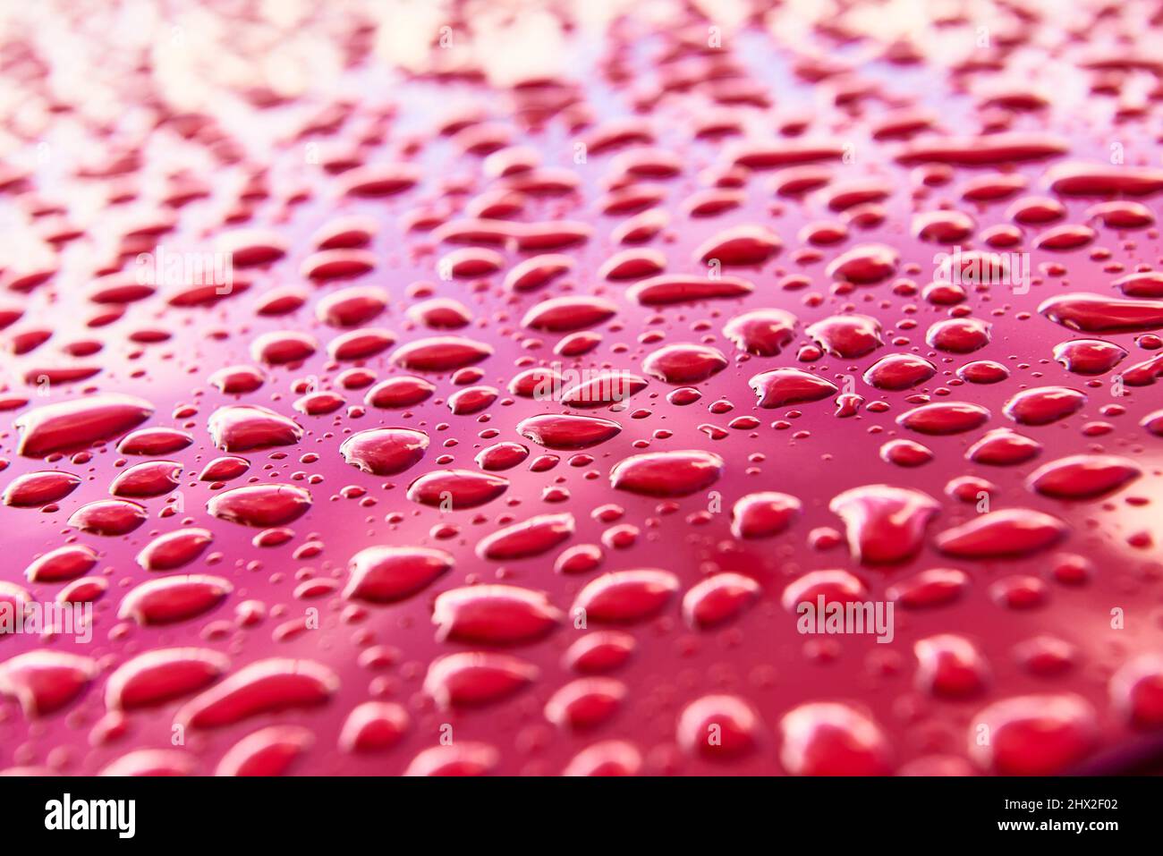 Water drops on red color background Stock Photo - Alamy