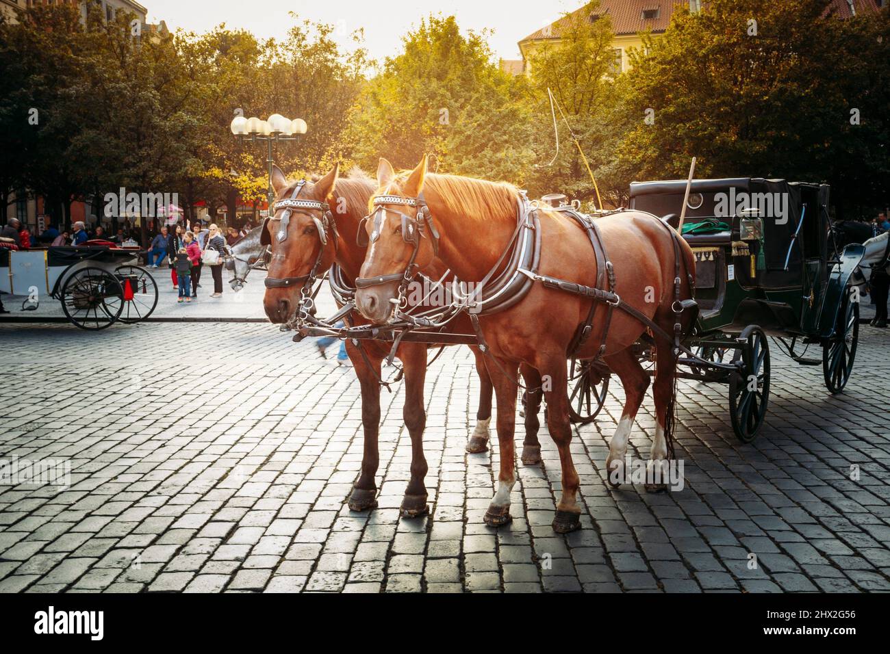 Old fashioned coach hi-res stock photography and images - Alamy