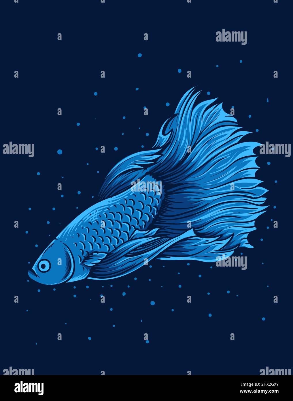 illustration vintage beautiful betta fish Stock Vector Image & Art - Alamy
