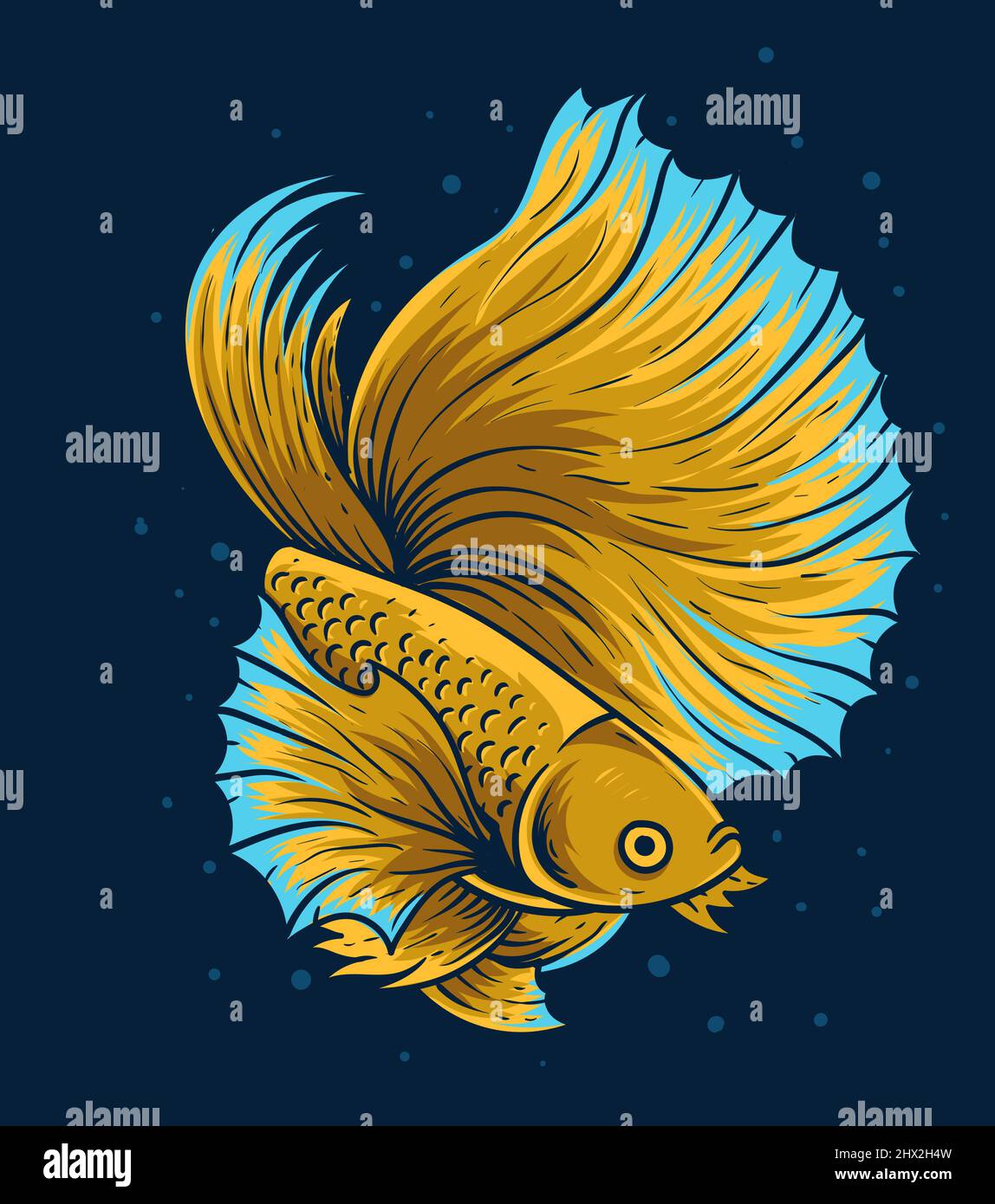 illustration vintage beautiful betta fish Stock Vector Image & Art - Alamy