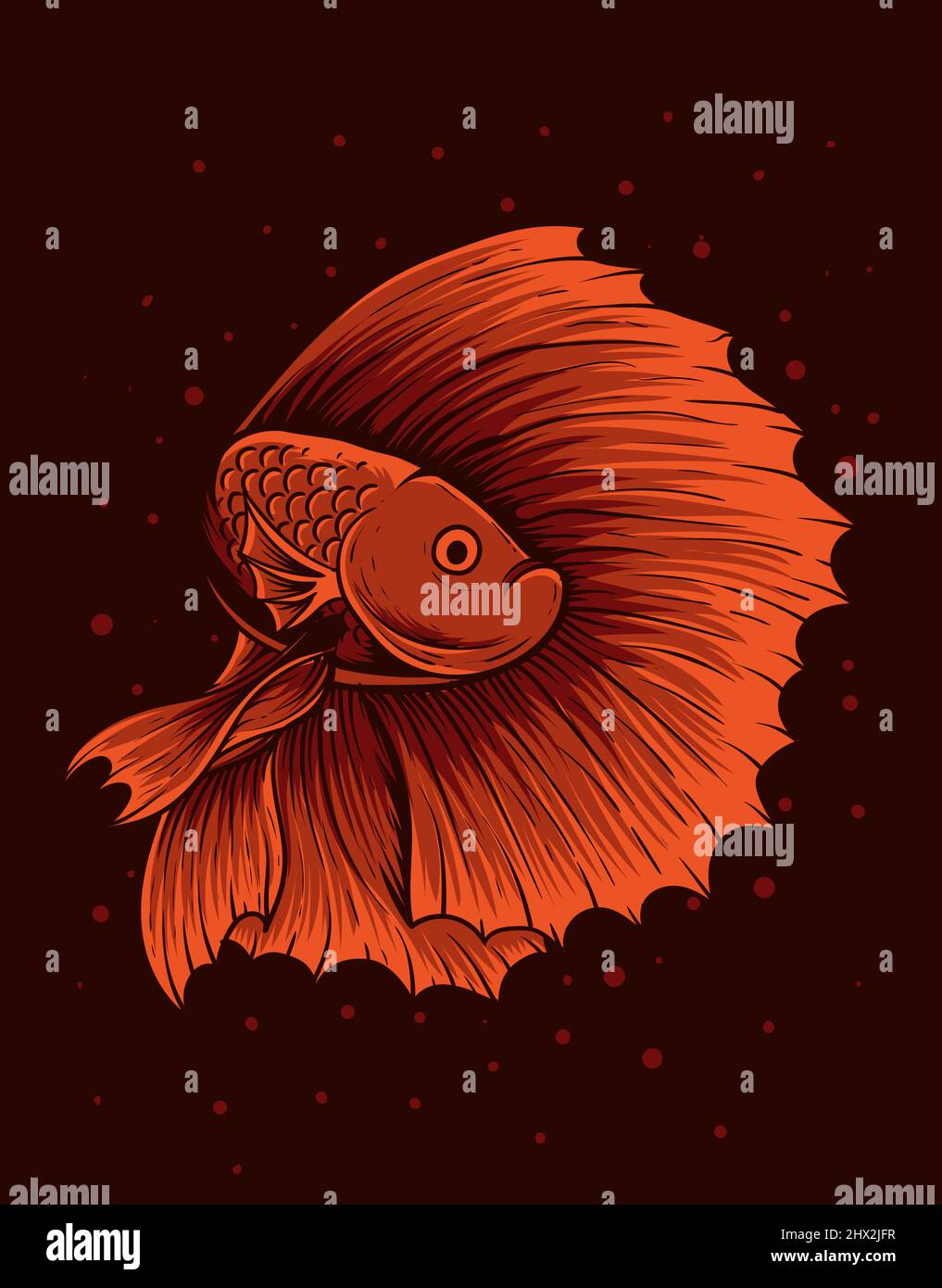 illustration vintage beautiful betta fish red color Stock Vector Image ...
