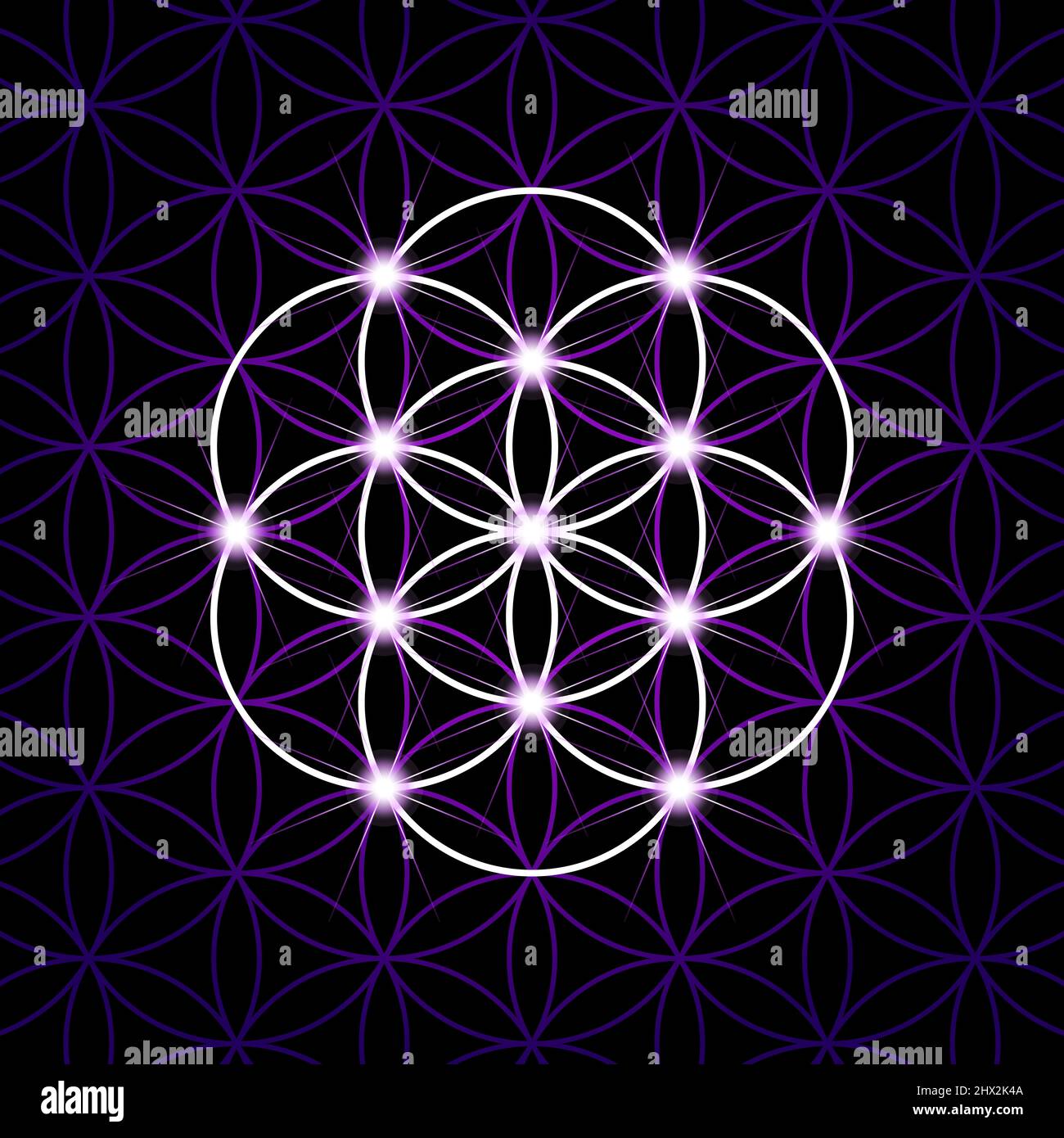 Sacred geometry flower life design hi-res stock photography and images ...