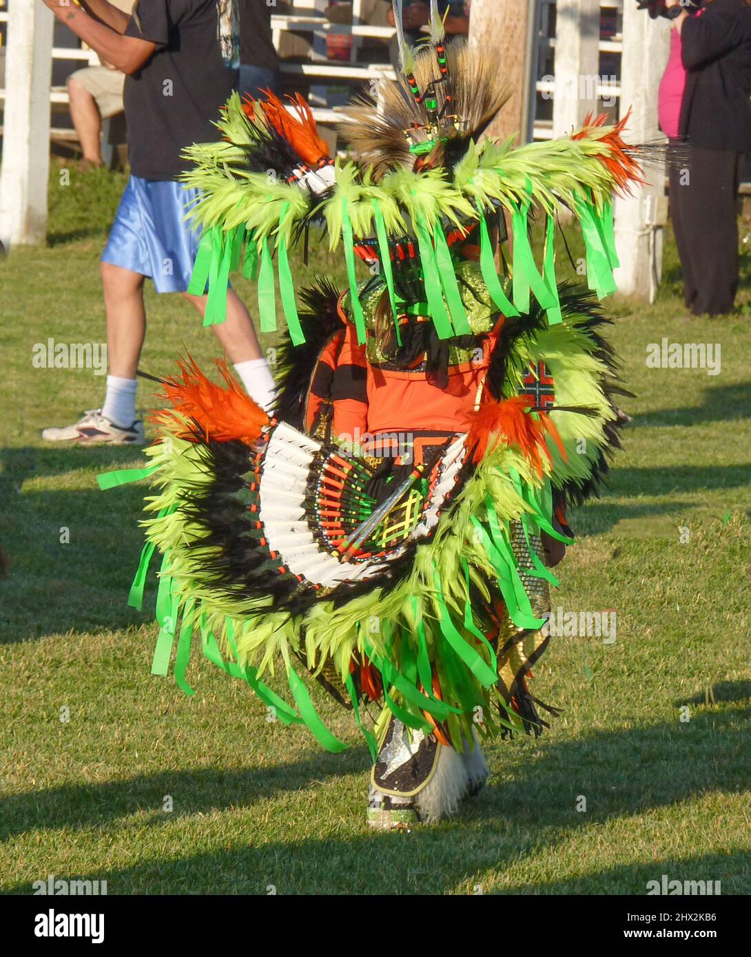 Young Native American dances taking part in pow wow festival in costume ...