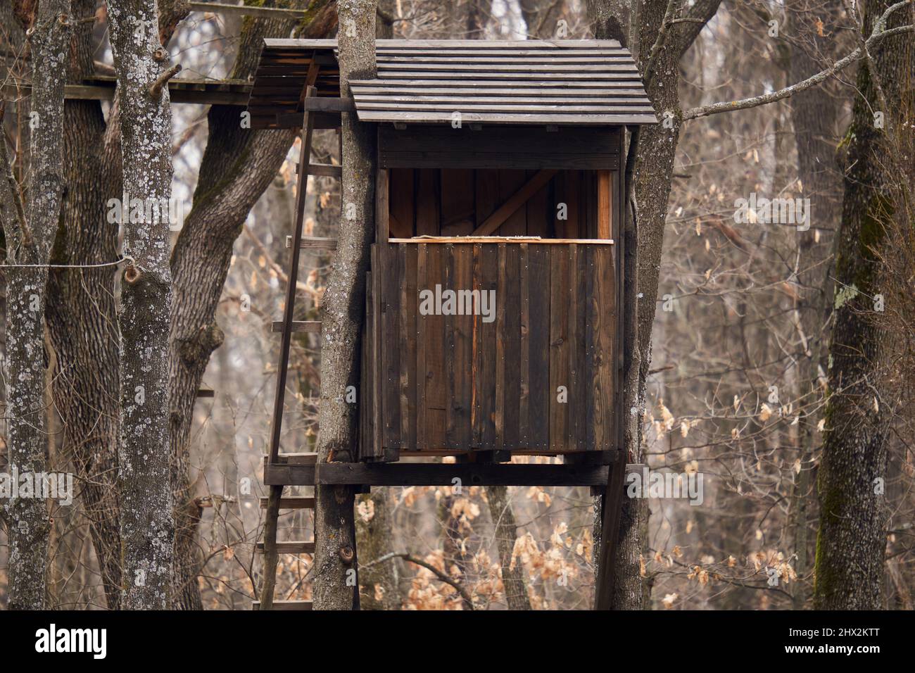 Hunting shelter in the forest, also used as wildlife observatory Stock ...