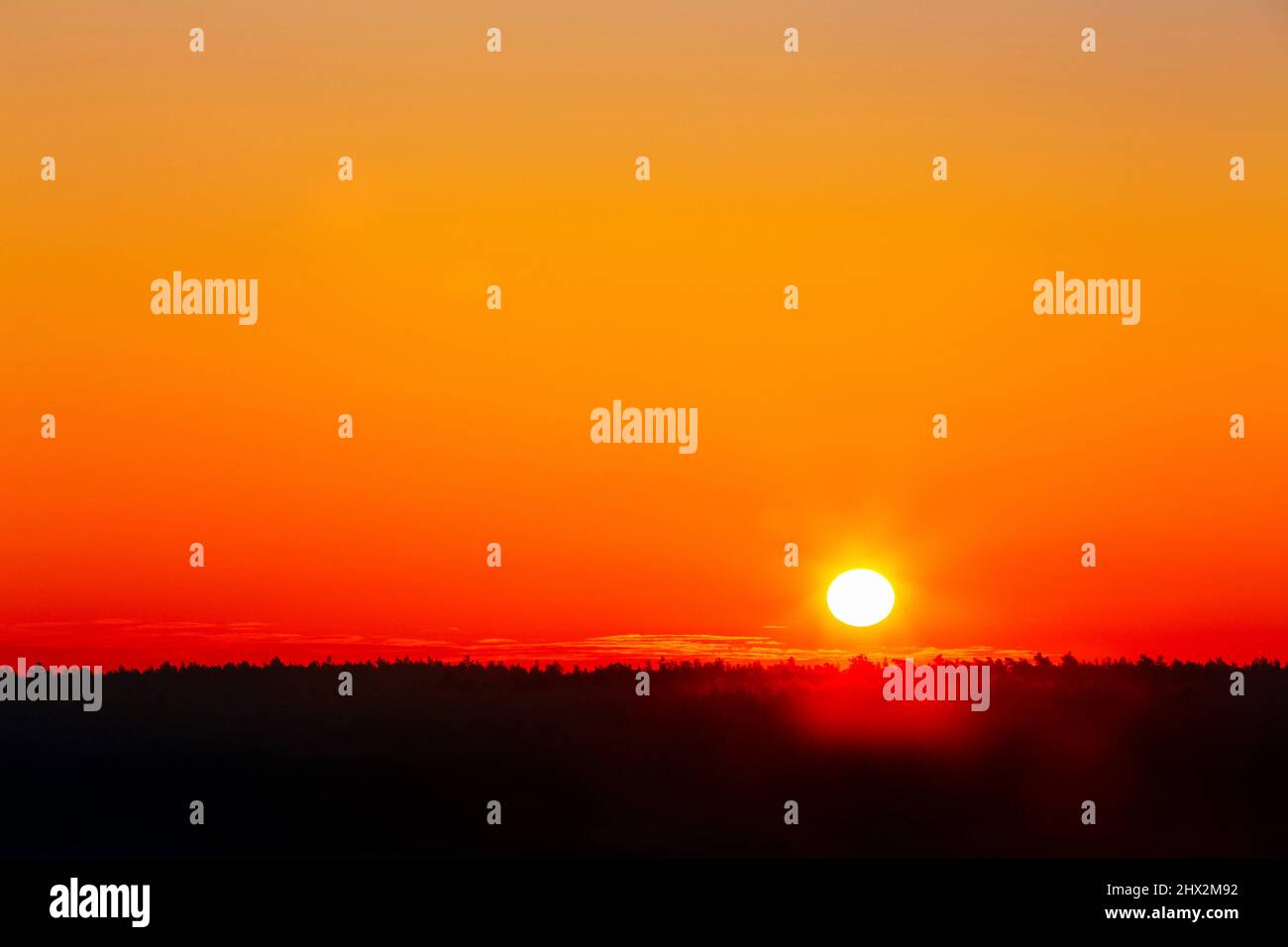 Dark and yellow colors hi-res stock photography and images - Alamy