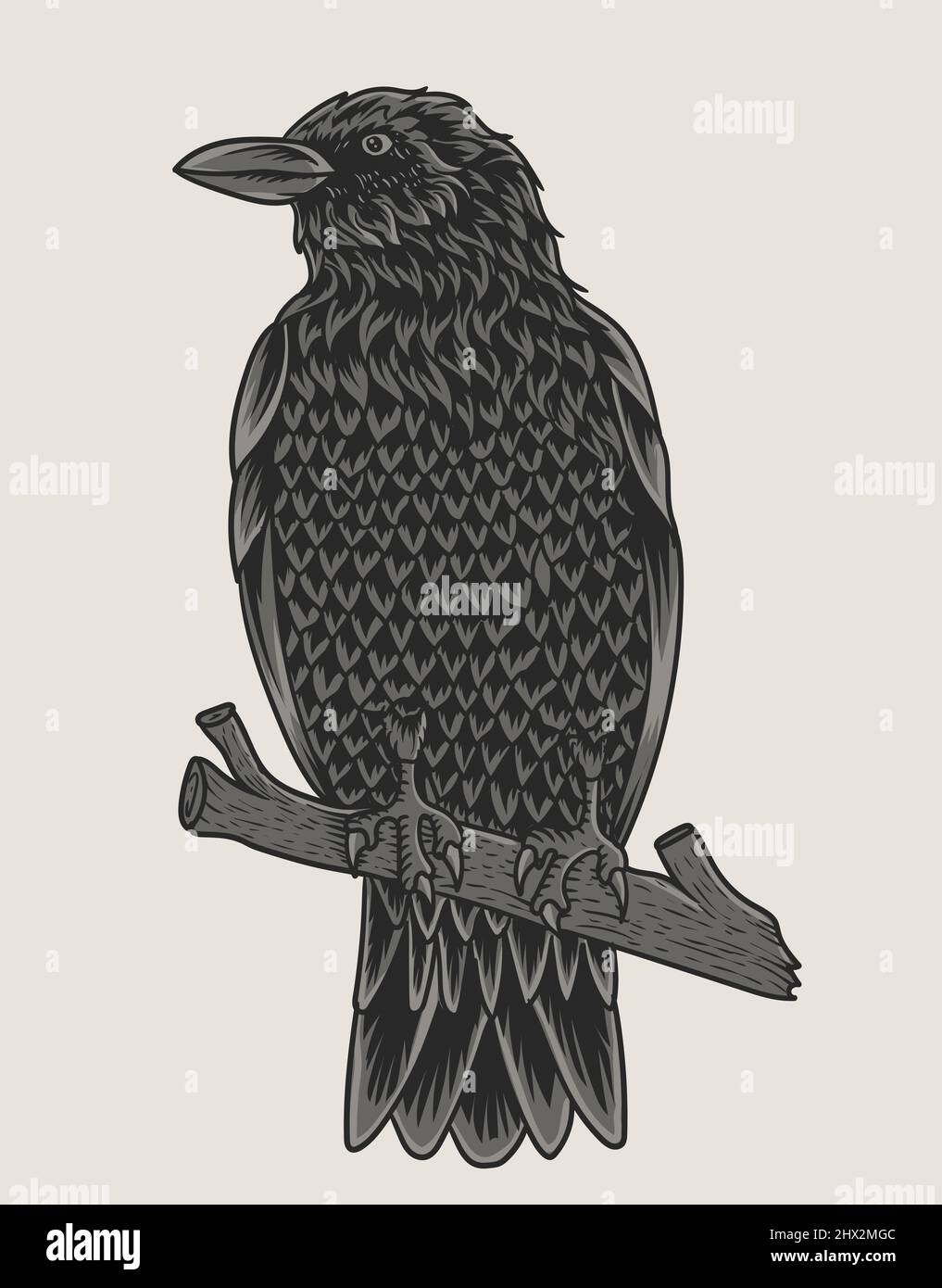 illustration crow bird on white background Stock Vector Image & Art - Alamy