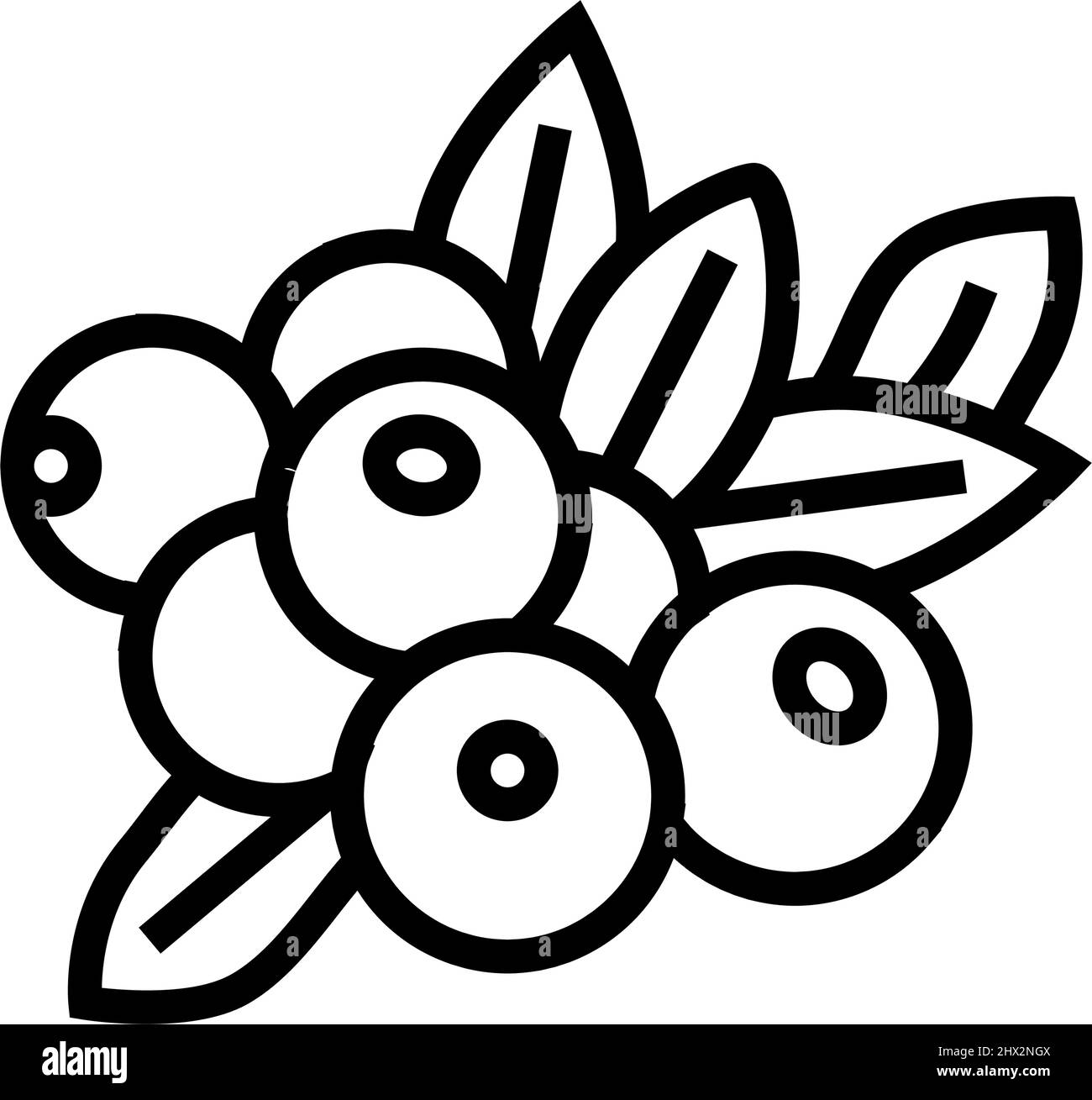 cranberry berry line icon vector illustration Stock Vector Image & Art ...