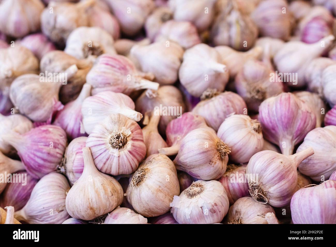 Garlic pile hi-res stock photography and images - Alamy