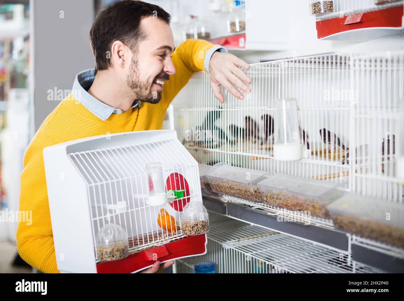 Best parrots hi-res stock photography and images - Alamy