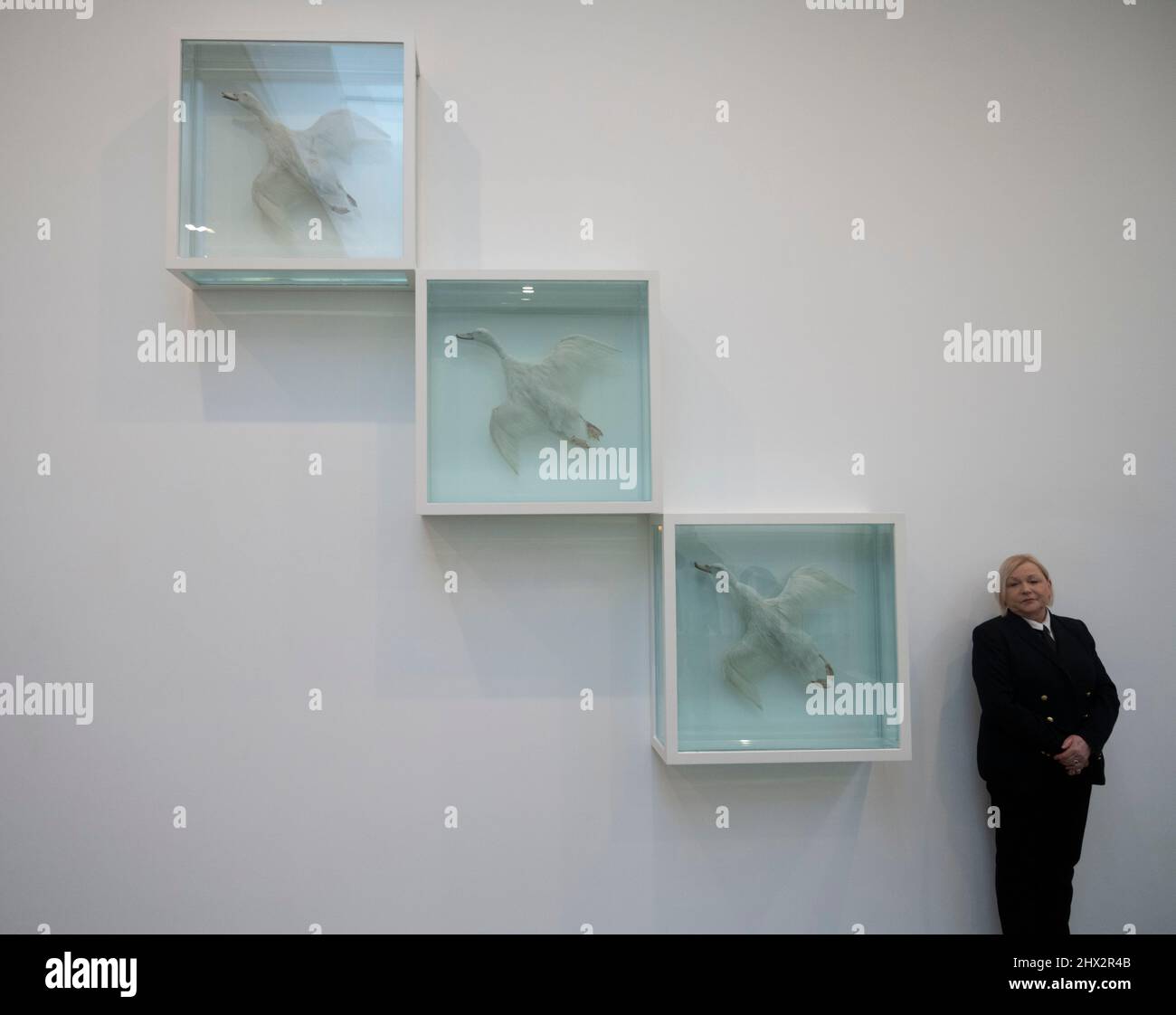 Damien hirst formaldehyde sculptures hi-res stock photography and ...