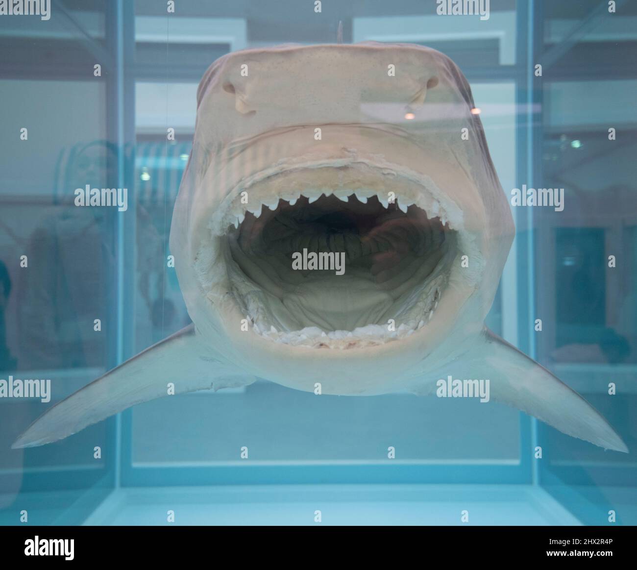 Damien hirst formaldehyde sculptures hi-res stock photography and ...