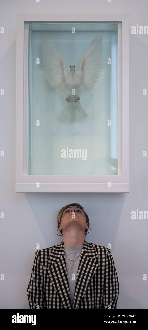 Damien hirst formaldehyde sculptures hi-res stock photography and ...